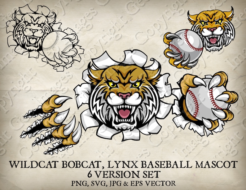 Wildcat Bobcat Cougar Lynx Lion Holding Baseball Ball Mascot Wildcats ...