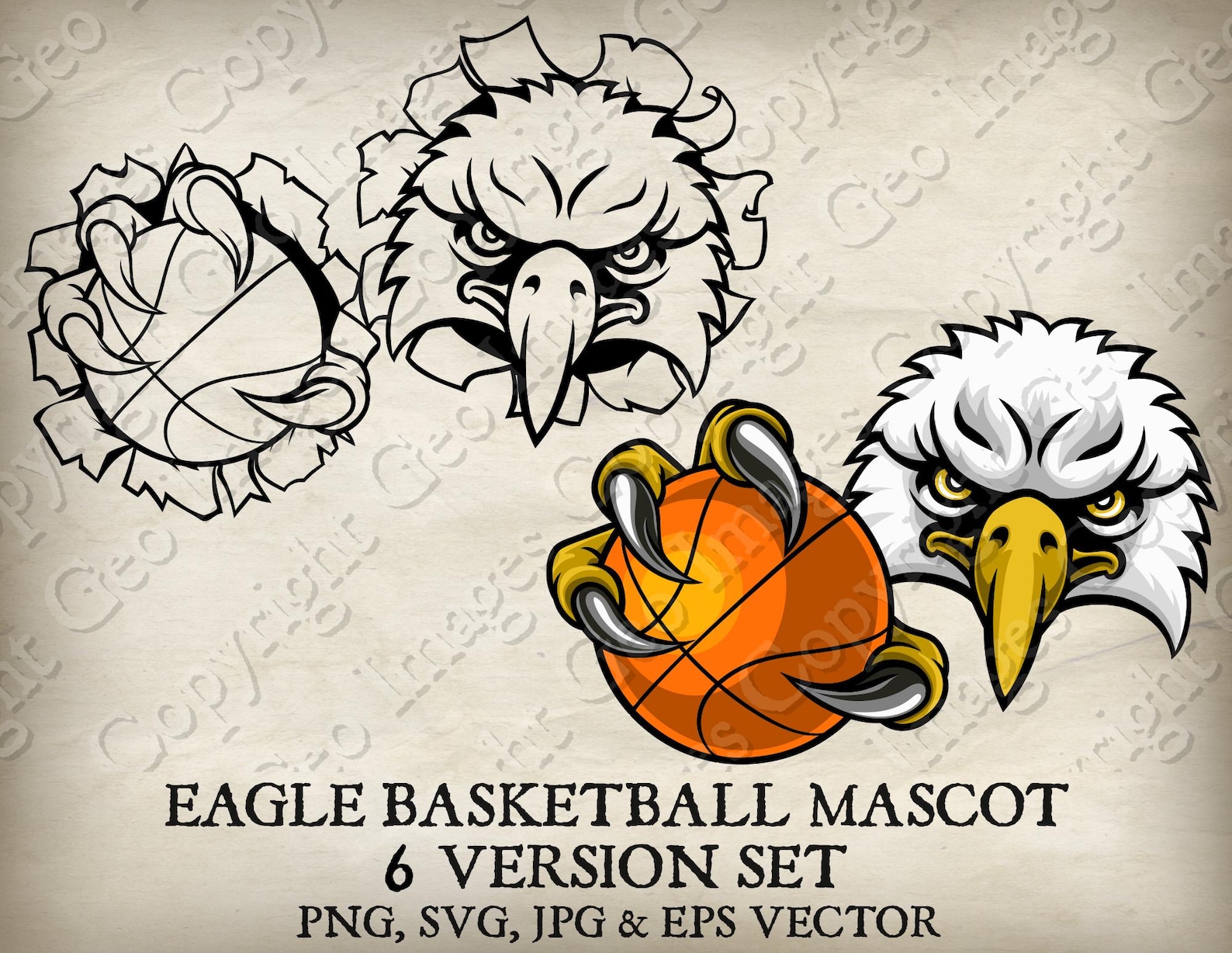 Eagle Hawk Falcon Bird Holding Basketball Ball Claws Sports Mascot Bald ...
