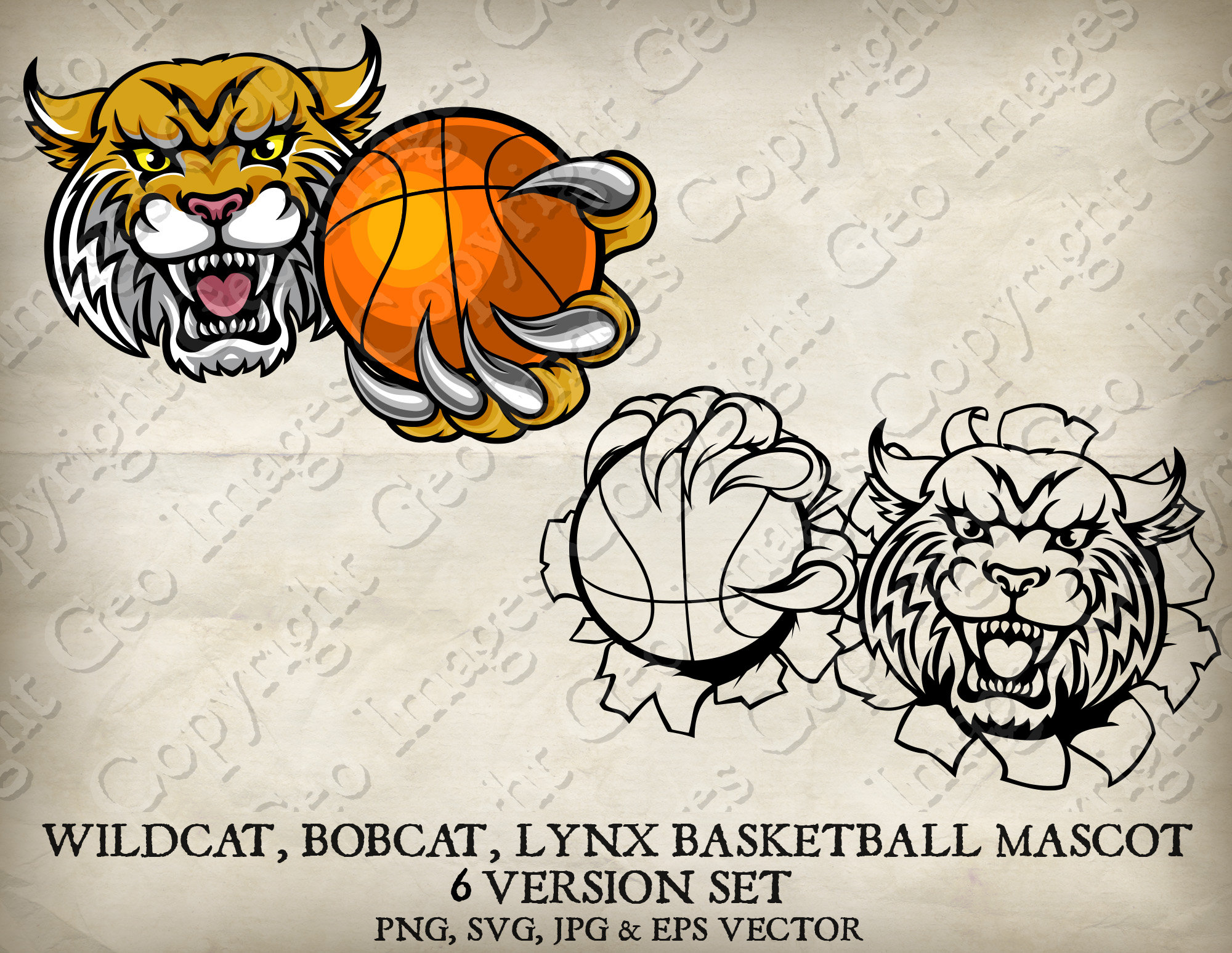 Wildcat Bobcat Cougar Lynx Lion Holding Basketball Ball Mascot Wildcats ...