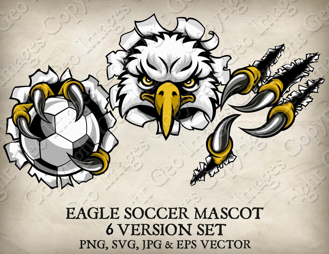 Soccer Football American Bald Eagle Hawk Falcon Sports Mascot ...