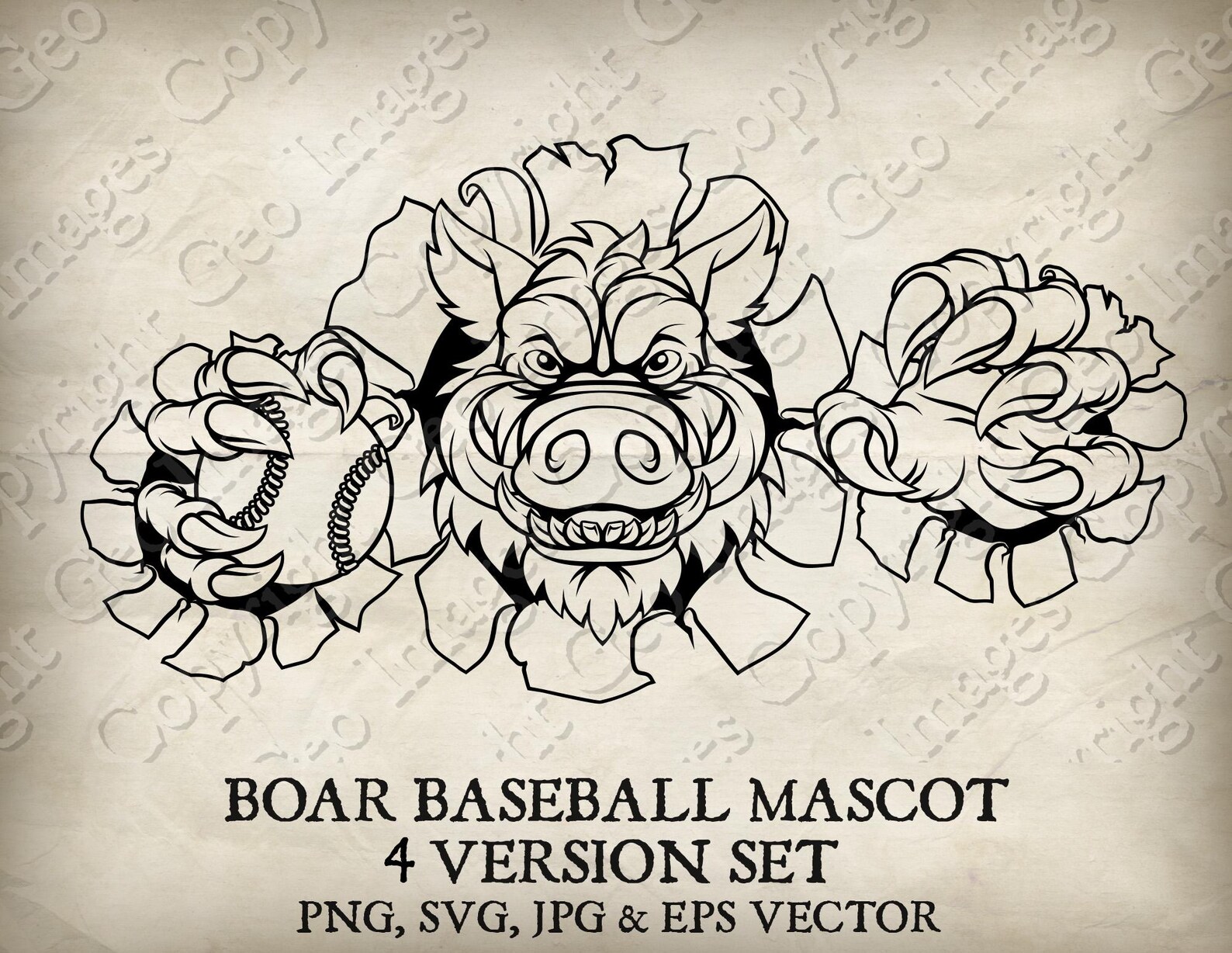 Wild Boar Razorback Warthog Hog Pig Baseball Ball Claws Mascot Boars ...