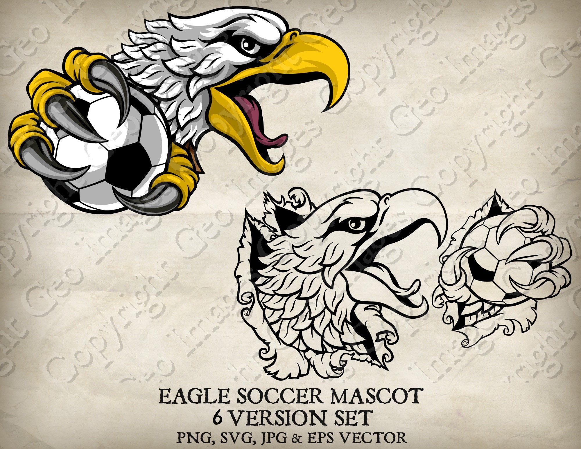 Eagle Holding Soccer Football Ball Claws Mascot Bald Eagles Logo ...