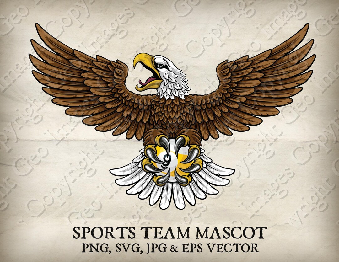 American Bald Eagle, Hawk Falcon Bird Pool Billiards Mascot Nine 9 Ball ...