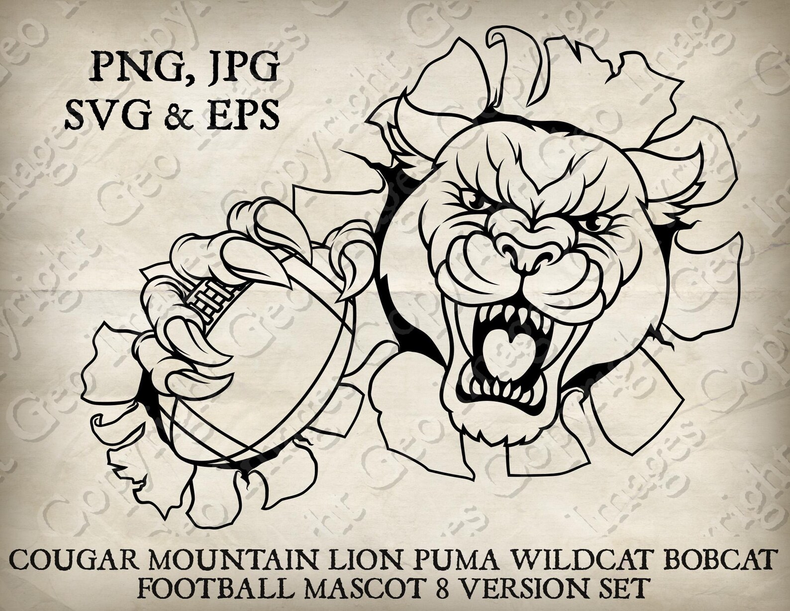 Cougar Wildcat Bobcat Puma Mountain Lion Holding American Football Ball ...