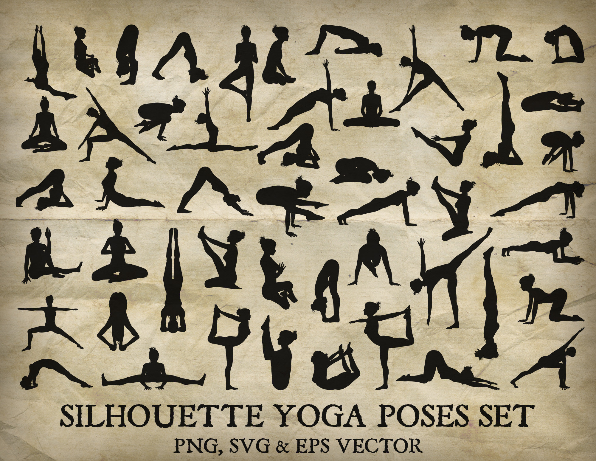 Pilates Poses Vector