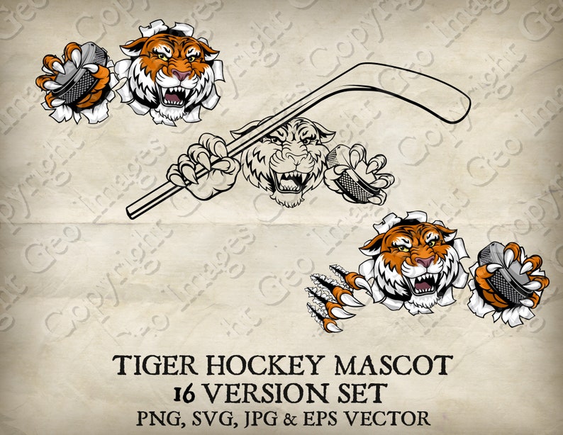 Tiger Hockey Mascot Tigers Logo Cartoon. 16 Versions. Holding Ice ...