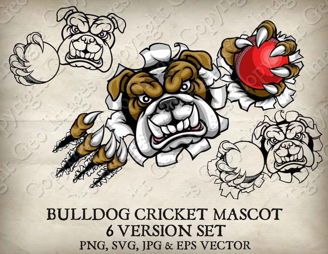 Bulldog Dog Holding Cricket Ball in Claw Mascot Bulldogs Face Cartoon ...