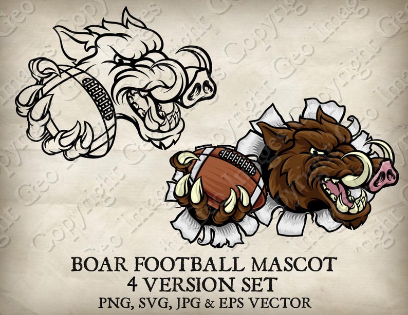 Wild Boar Razorback Warthog Hog Pig American Football Ball Mascot Boars ...