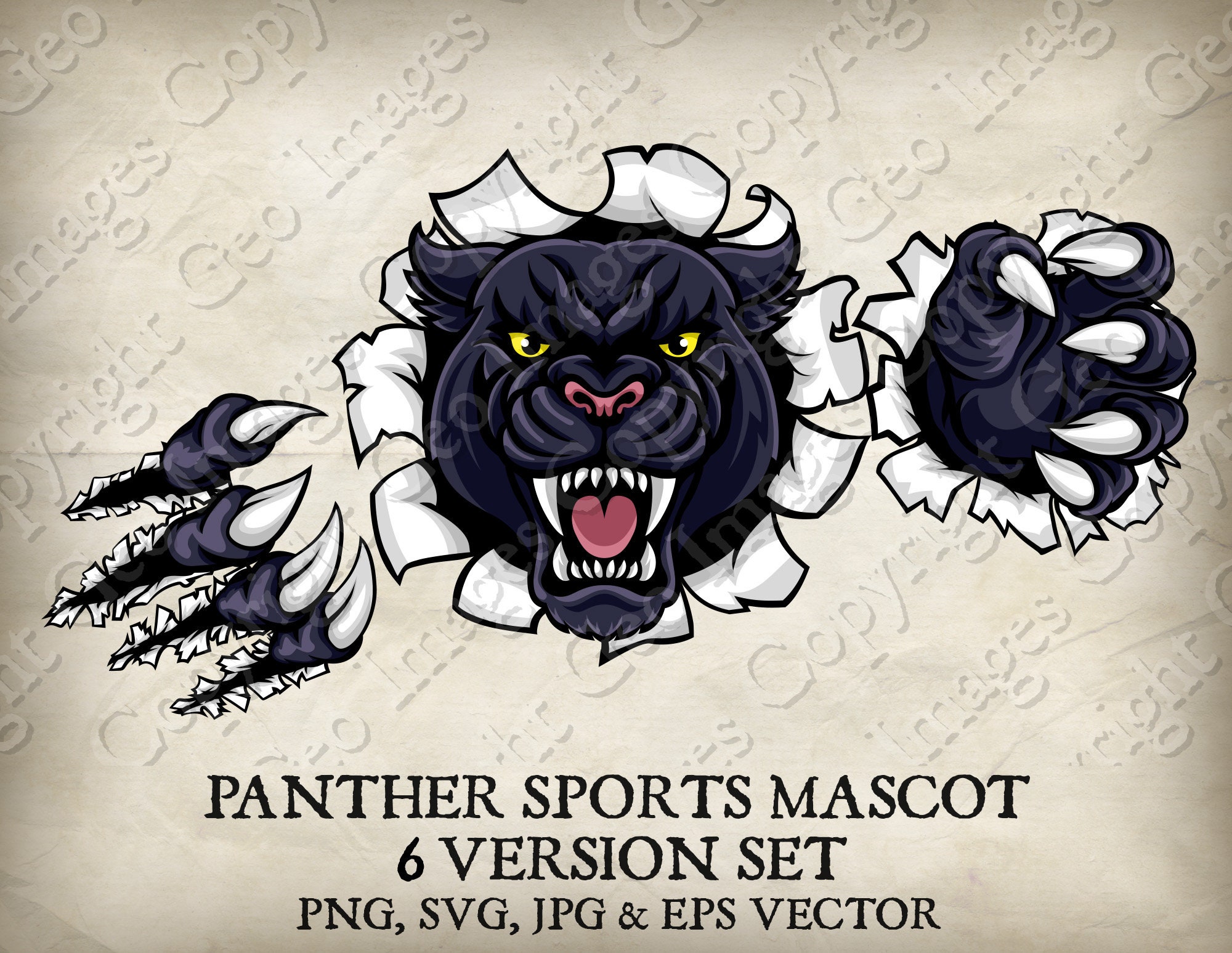 Panther Sports Mascot Jaguar Panthers Sport Animal Logo Cartoon. 6 ...