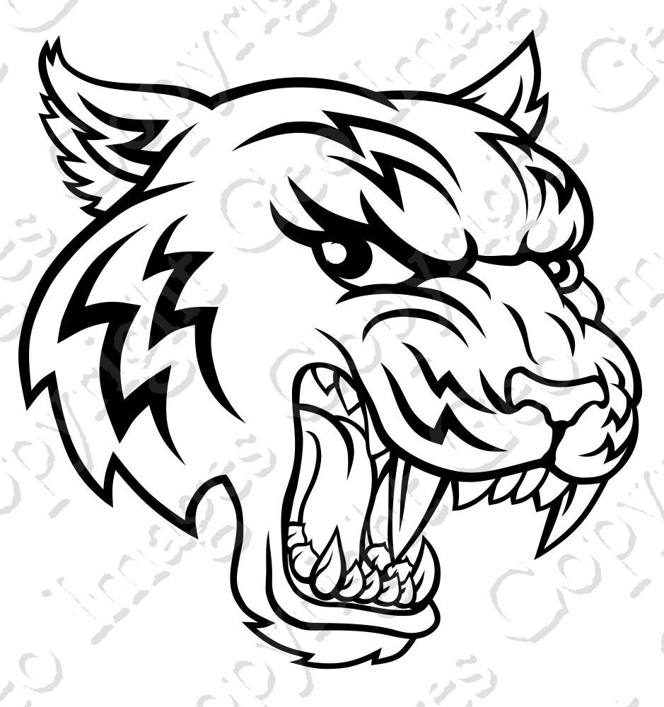 Tiger Cat Mascot Head Angry Tigers Face Cartoon in Two Versions Artwork ...