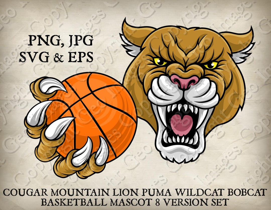 Cougar Wildcat Bobcat Puma Mountain Lion Holding Basketball Ball Team ...