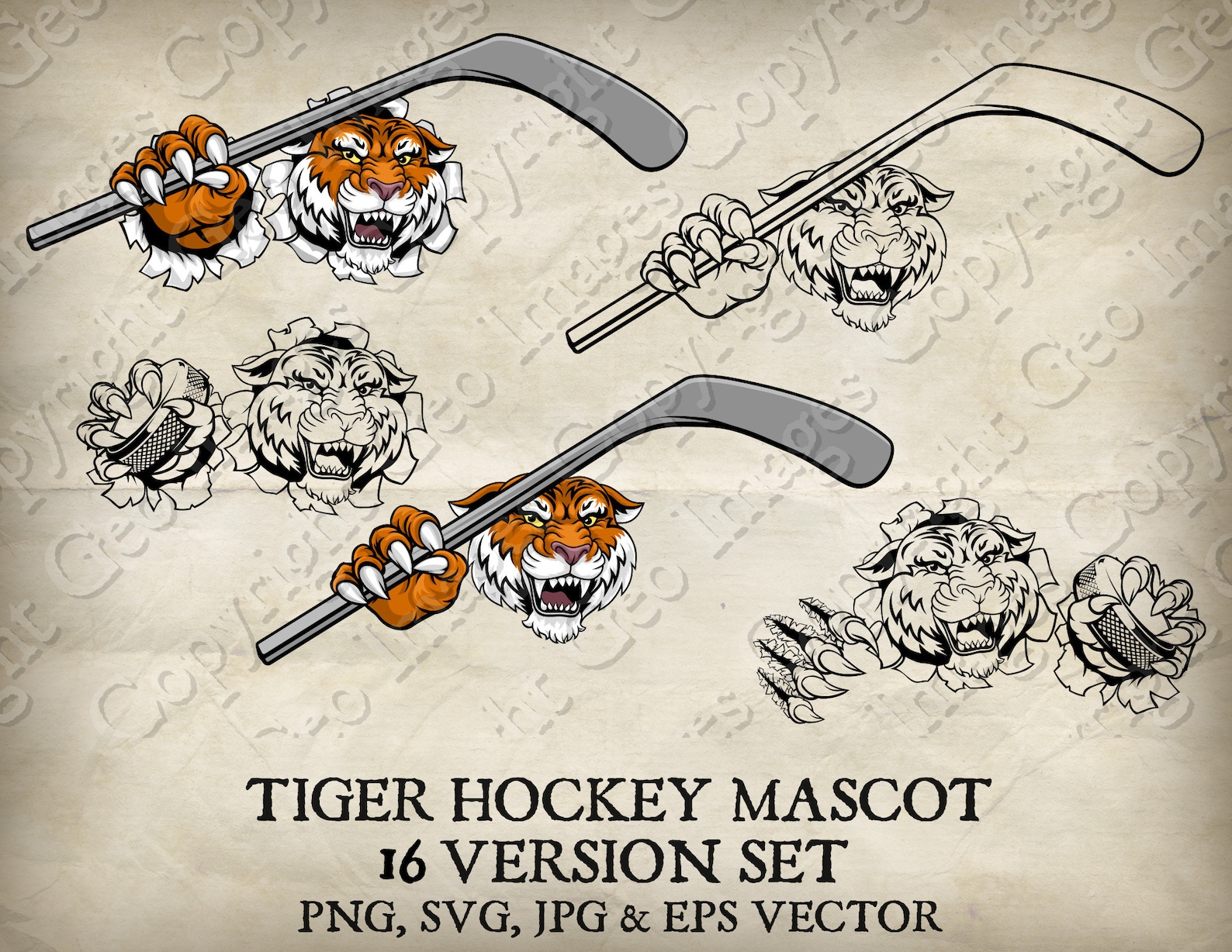 Tiger Hockey Mascot Tigers Logo Cartoon. 16 Versions. Holding Ice ...