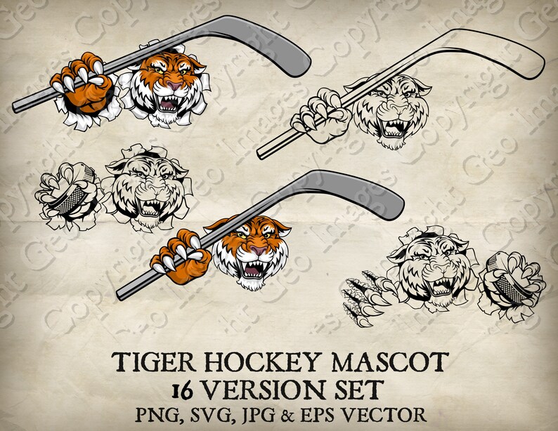 Tiger Hockey Mascot Tigers Logo Cartoon. 16 Versions. Holding Ice ...