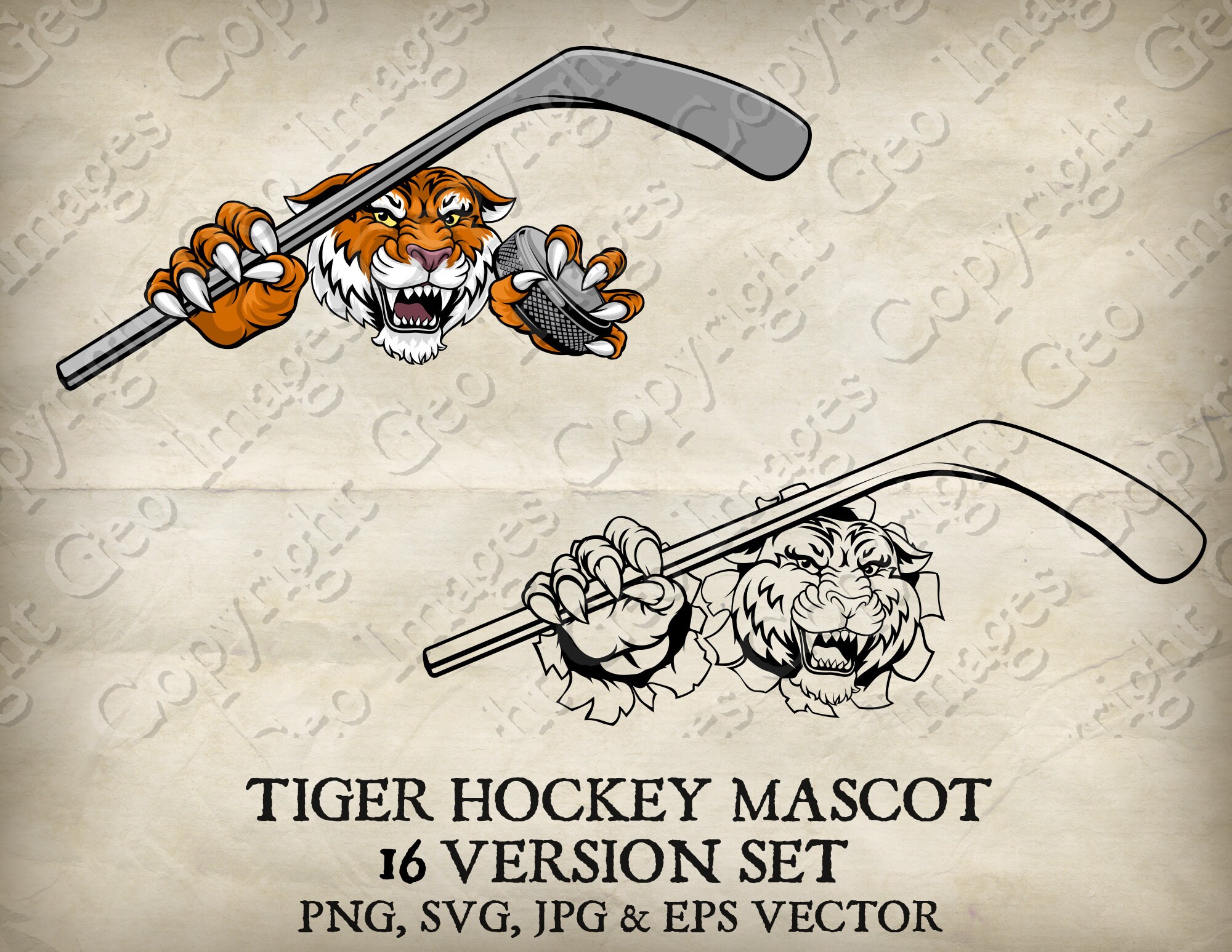 Tiger Hockey Mascot Tigers Logo Cartoon. 16 Versions. Holding Ice ...