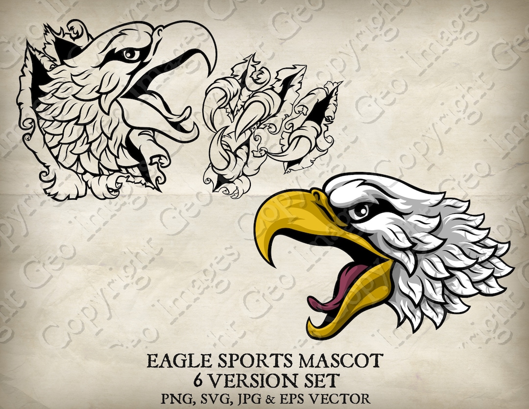 American Bald Eagle, Hawk or Falcon Sports Mascot Illustration. Eagles ...