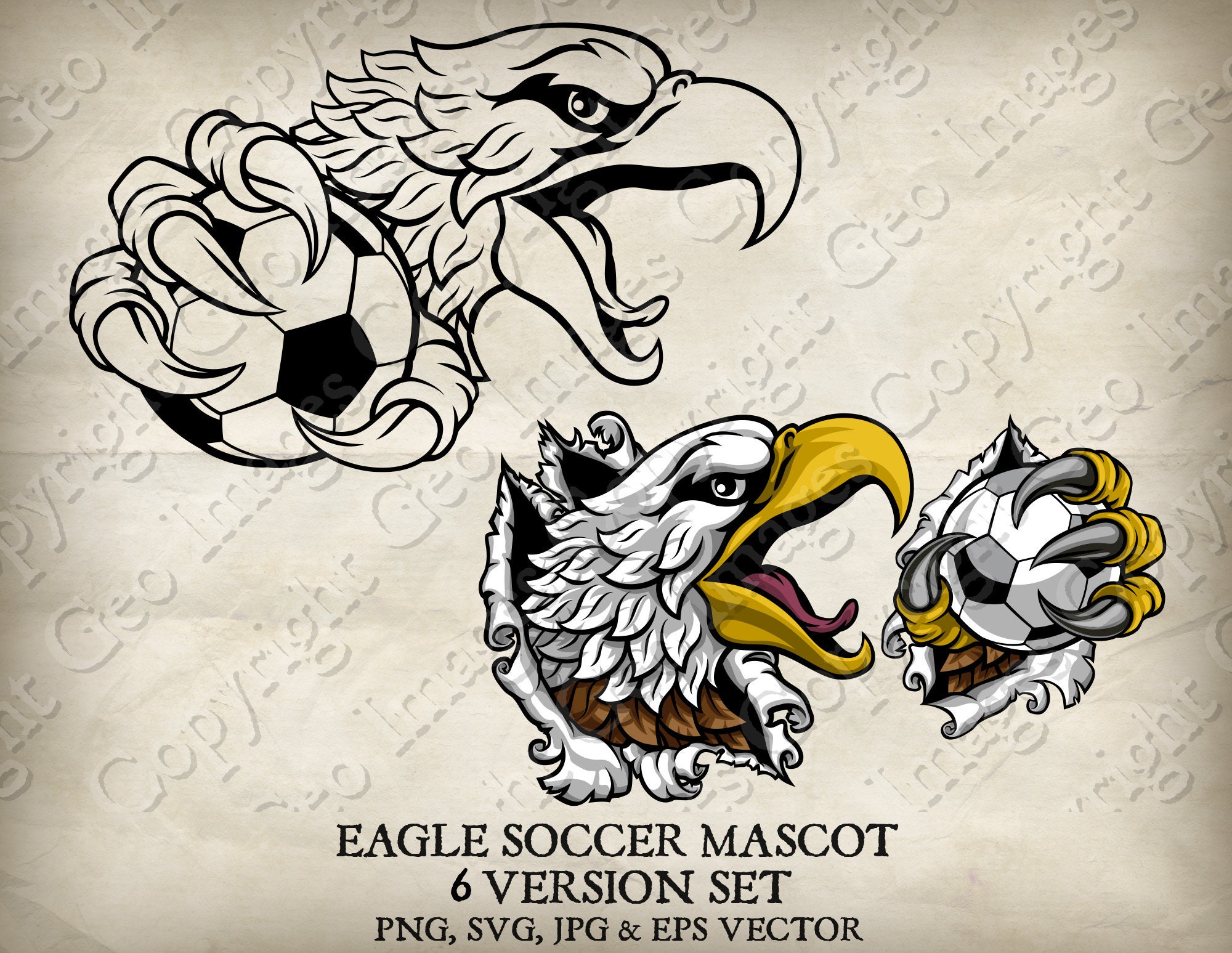 Eagle Holding Soccer Football Ball Claws Mascot Bald Eagles Logo ...