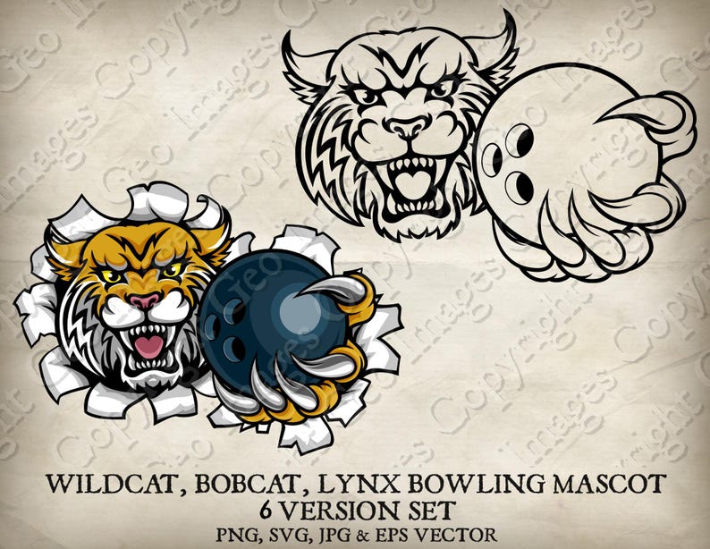 Wildcat Bobcat Cougar Lynx Lion Holding Bowling Ball Mascot Wildcats ...