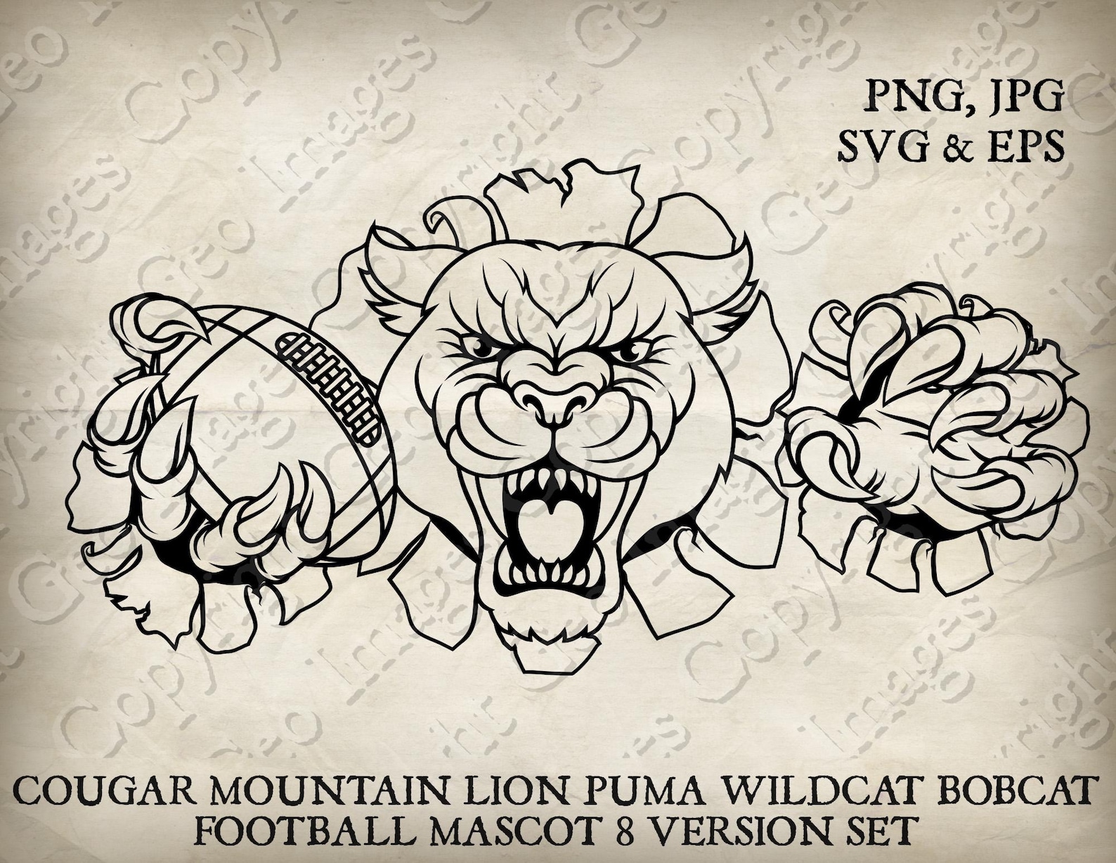 Cougar Wildcat Bobcat Puma Mountain Lion Holding American Football Ball ...