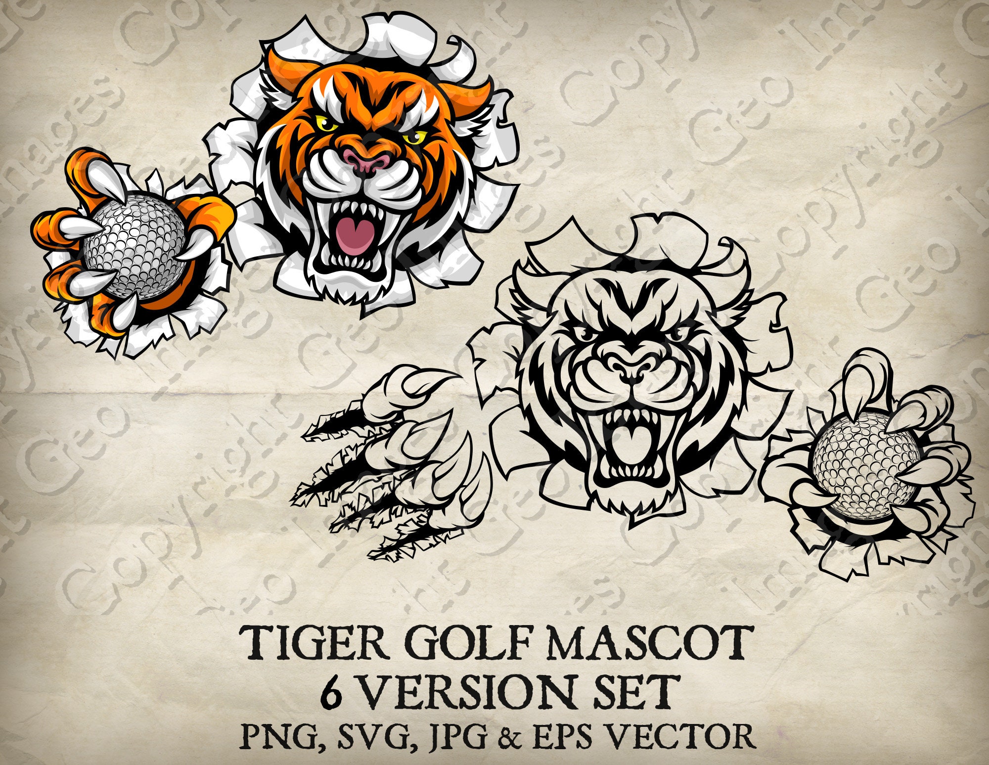 Tiger Golfer Holding Golf Ball in Claw Mascot Angry Tigers Face Cartoon ...