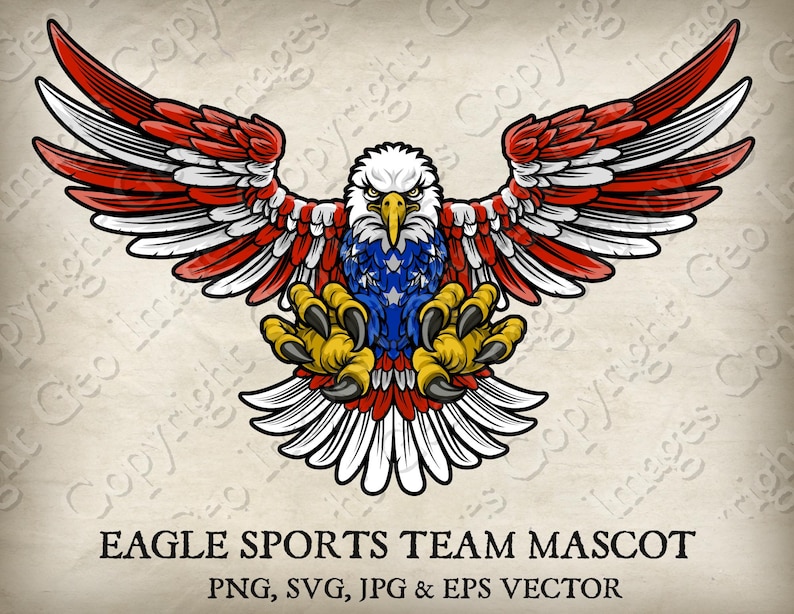 American Bald Eagle US USA Flag, Hawk, Falcon Patriotic Mascot Swooping ...