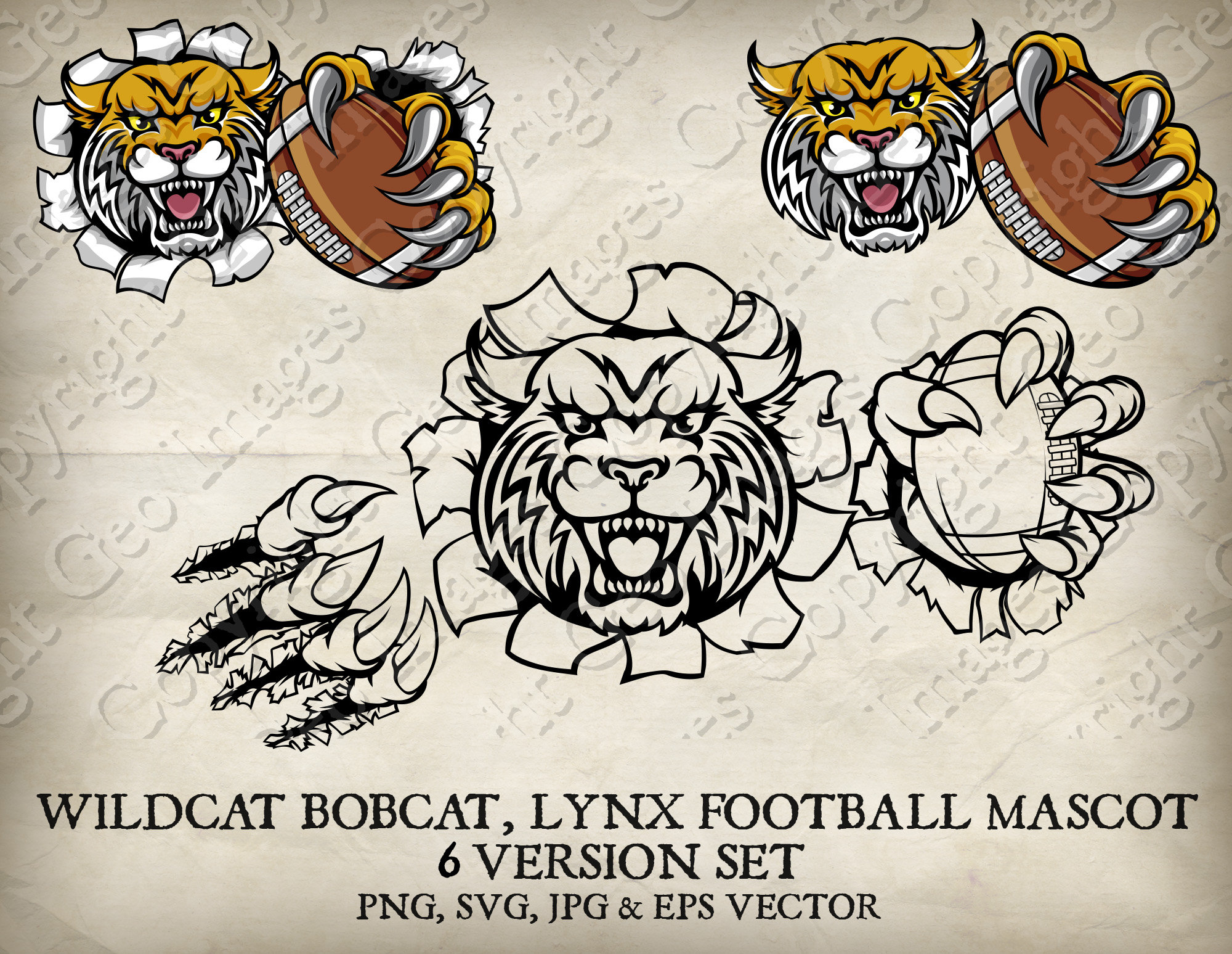 Wildcat Bobcat Cougar Lynx Lion Holding American Football Ball Mascot ...