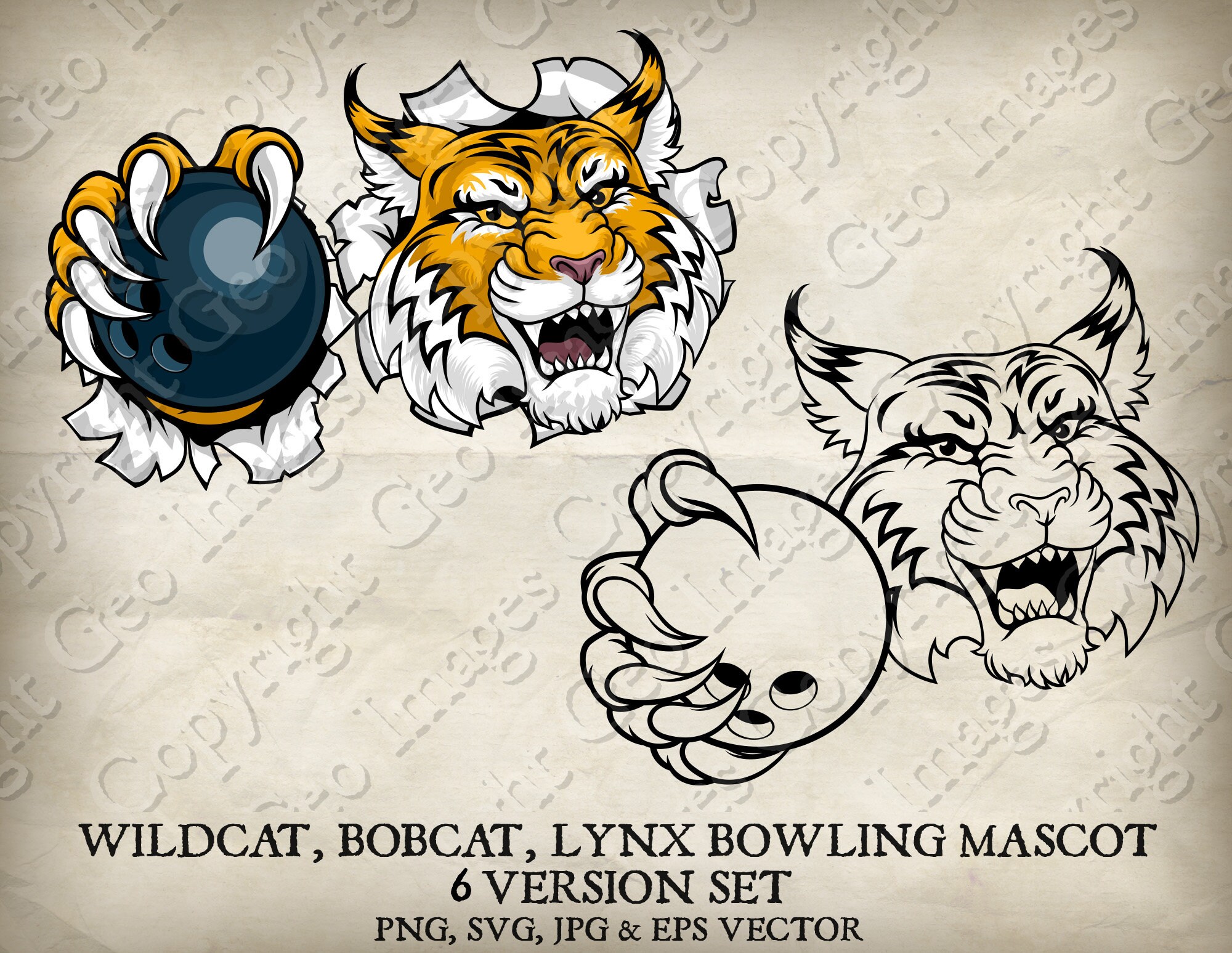 Wildcat Bobcat Cougar Lynx Lion Holding Bowling Ball Mascot Wildcats ...