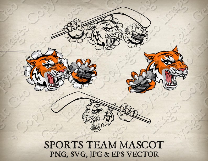 Tiger Hockey Mascot Tigers Logo Cartoon. 16 Versions. Holding Ice ...