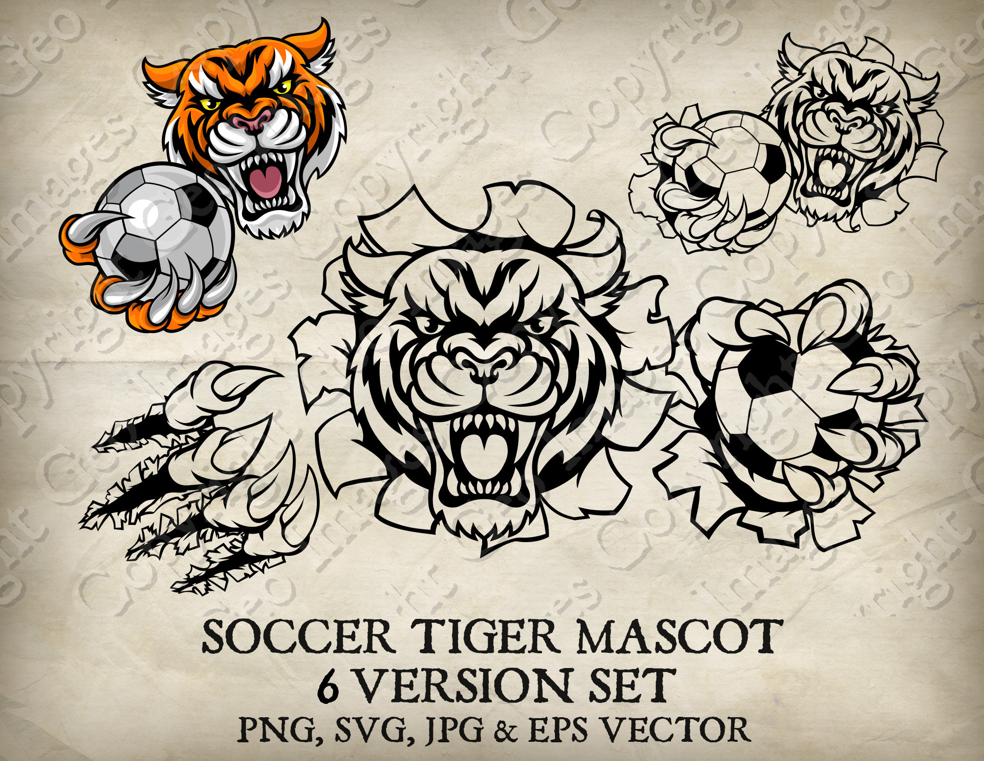Tiger Holding Soccer Football Ball in Claws Mascot Tigers Logo Cartoon ...