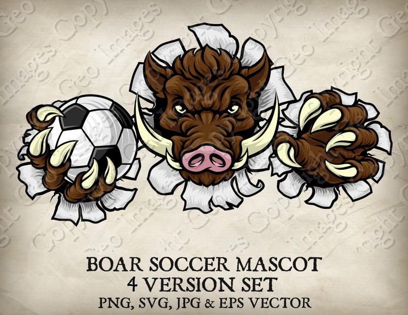 Wild Boar Razorback Warthog Hog Pig Soccer Football Ball Mascot. Boars ...