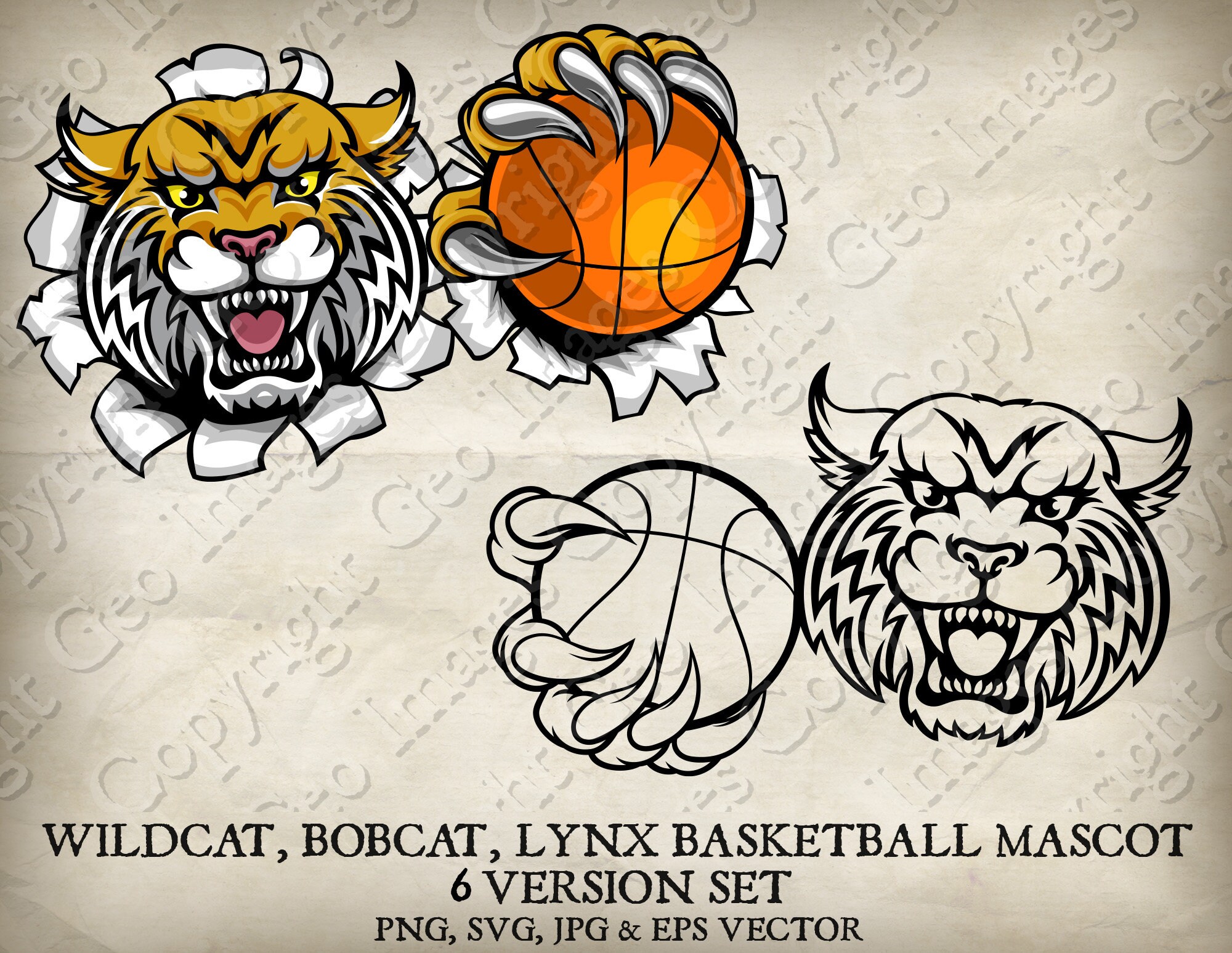 Wildcat Bobcat Cougar Lynx Lion Holding Basketball Ball Mascot Wildcats ...