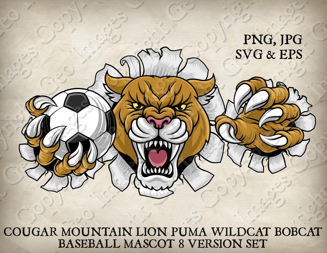 Cougar Wildcat Bobcat Puma Mountain Lion Holding Soccer Football Ball ...