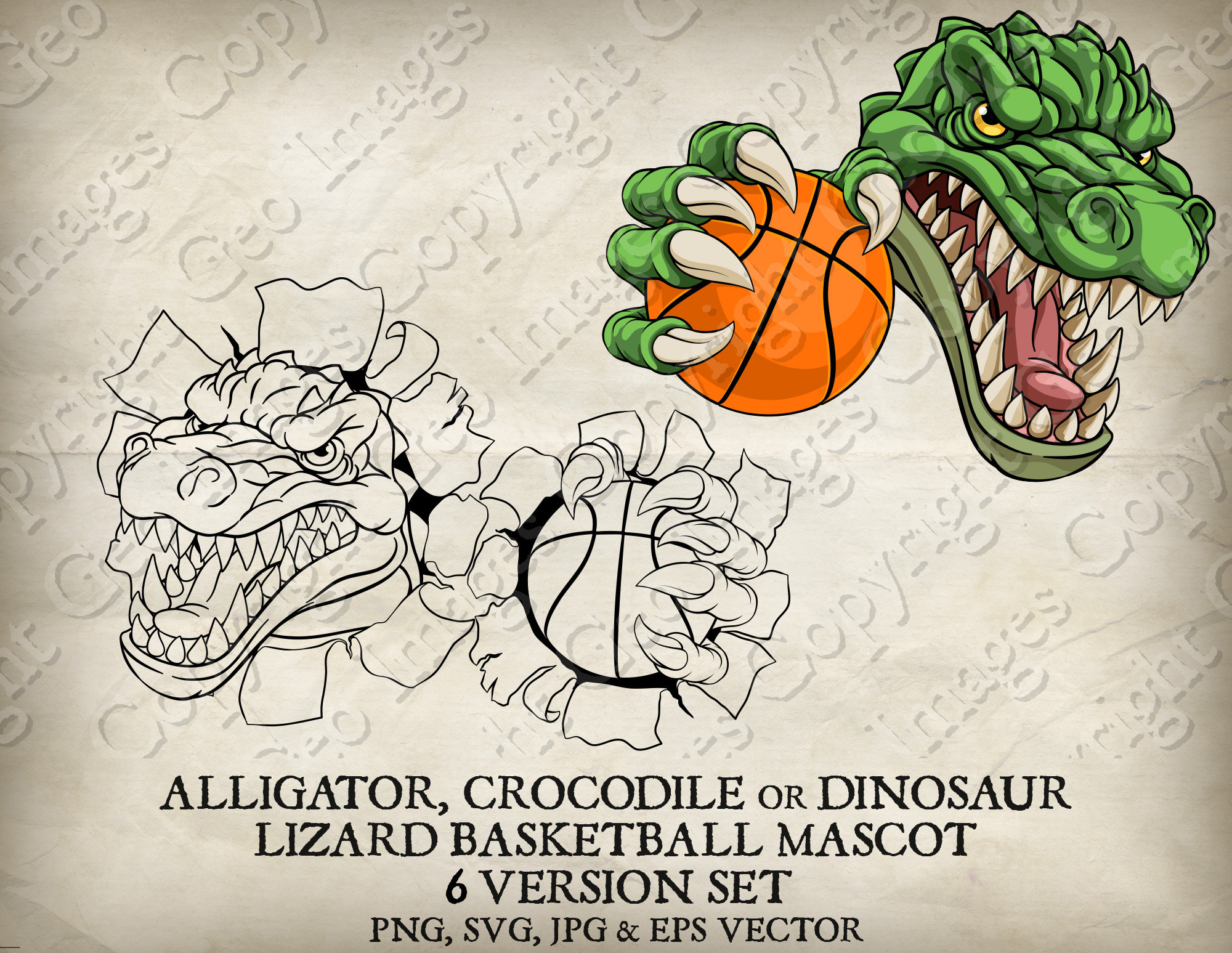 Alligator, Dinosaur, Crocodile, Lizard, Dragon or T Rex Basketball Ball ...