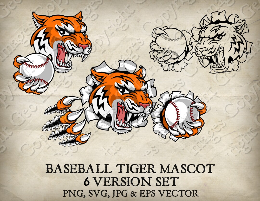 Tiger Holding Baseball Ball in Claws Mascot Angry Tigers Face Cartoon ...
