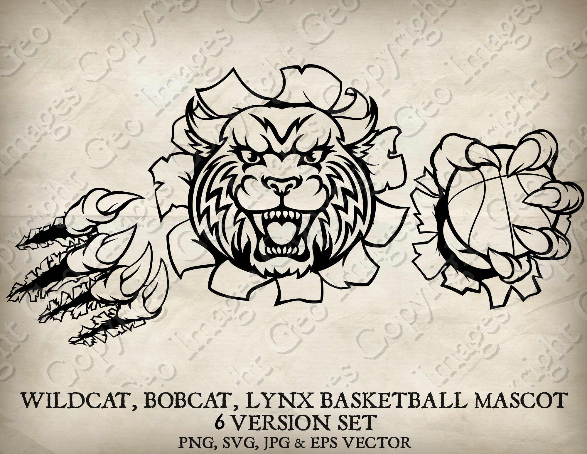 Wildcat Bobcat Cougar Lynx Lion Holding Basketball Ball Mascot Wildcats ...