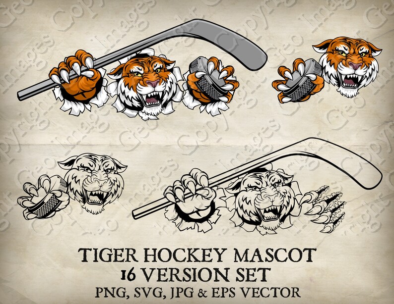 Tiger Hockey Mascot Tigers Logo Cartoon. 16 Versions. Holding Ice ...
