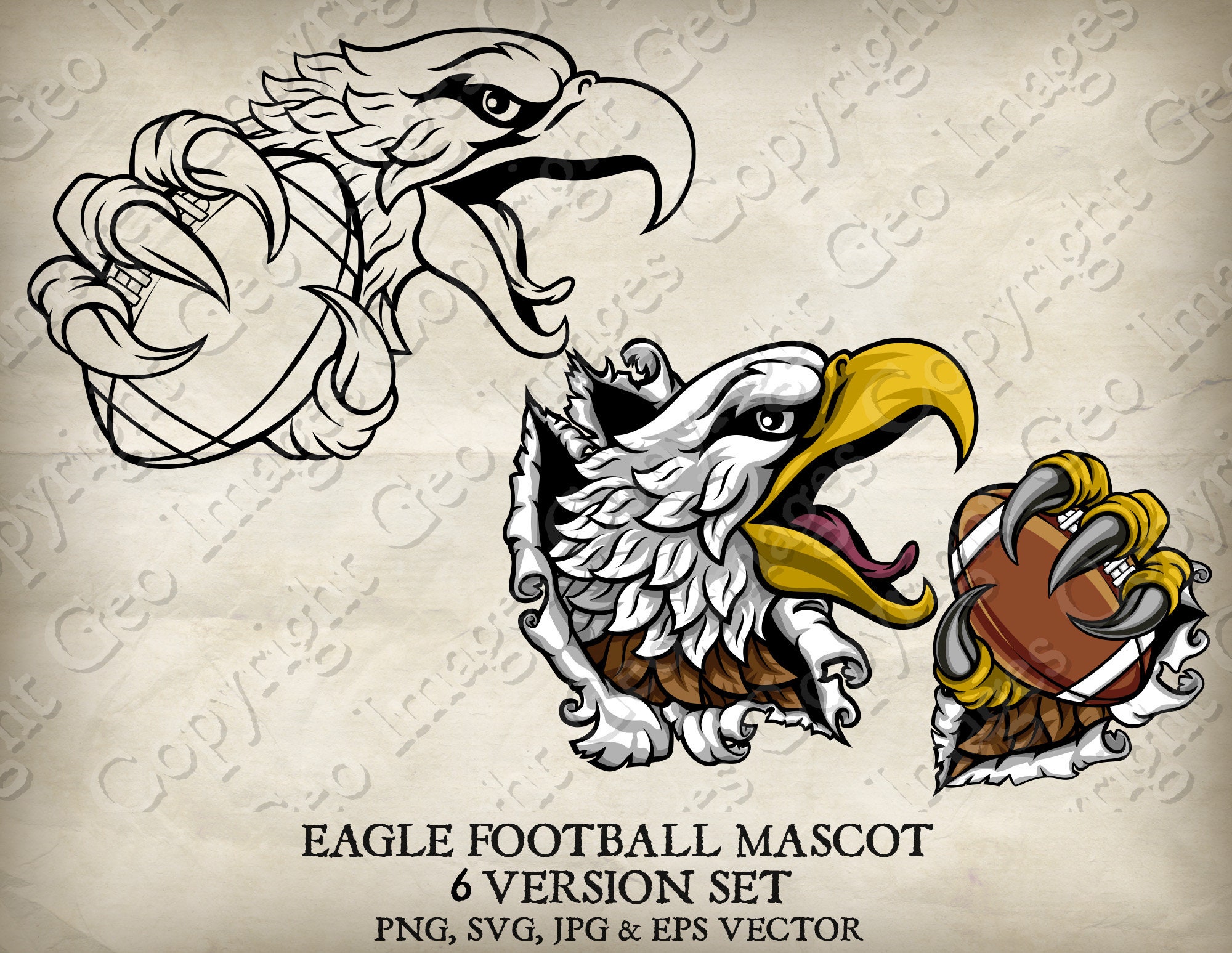 Eagle Holding American Football Ball Claws Mascot Bald Eagles Logo ...