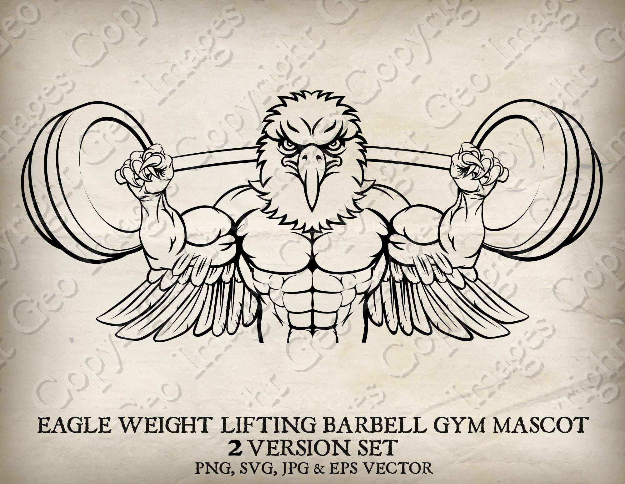 American Bald Eagle Hawk Falcon Weight Lifting Deadlift Barbell ...
