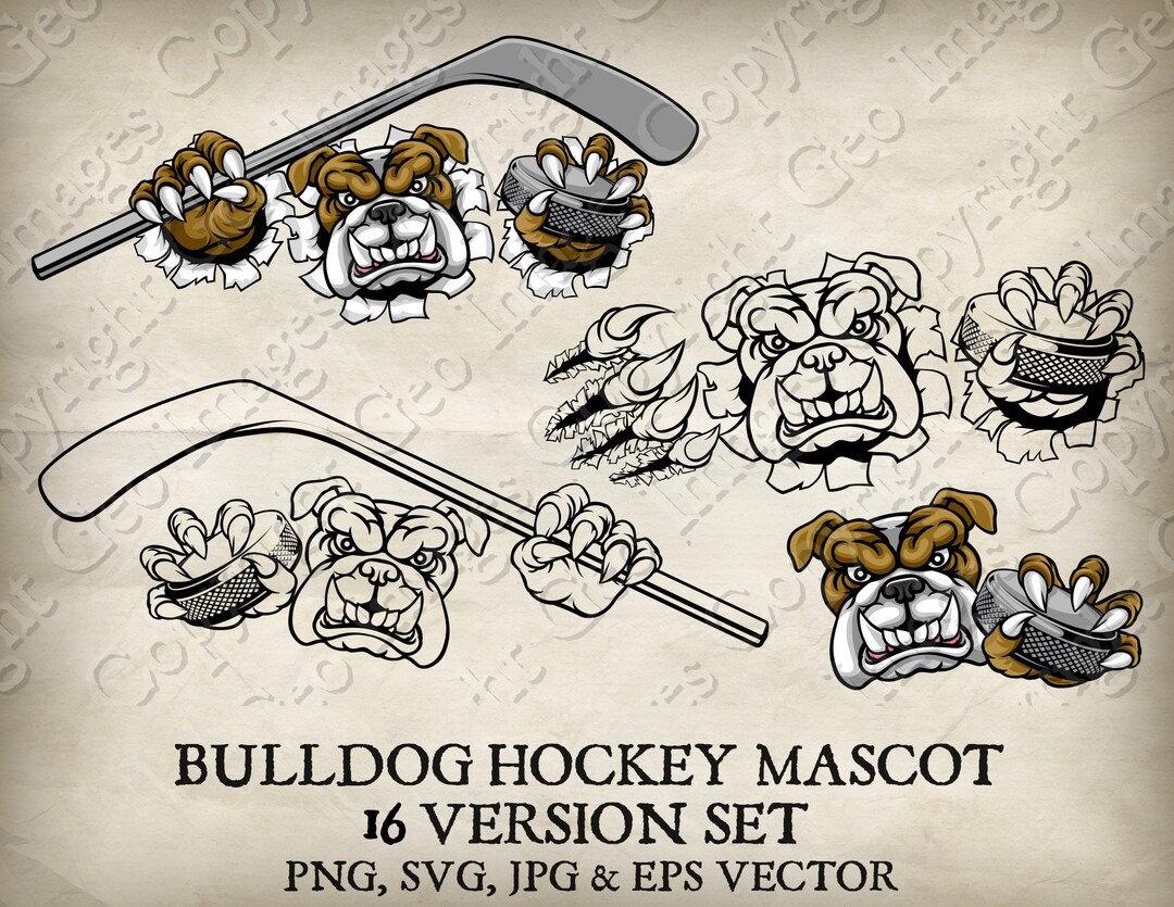 Bulldog Dog Hockey Mascot Bulldogs Logo Cartoon. 16 Versions. Holding ...