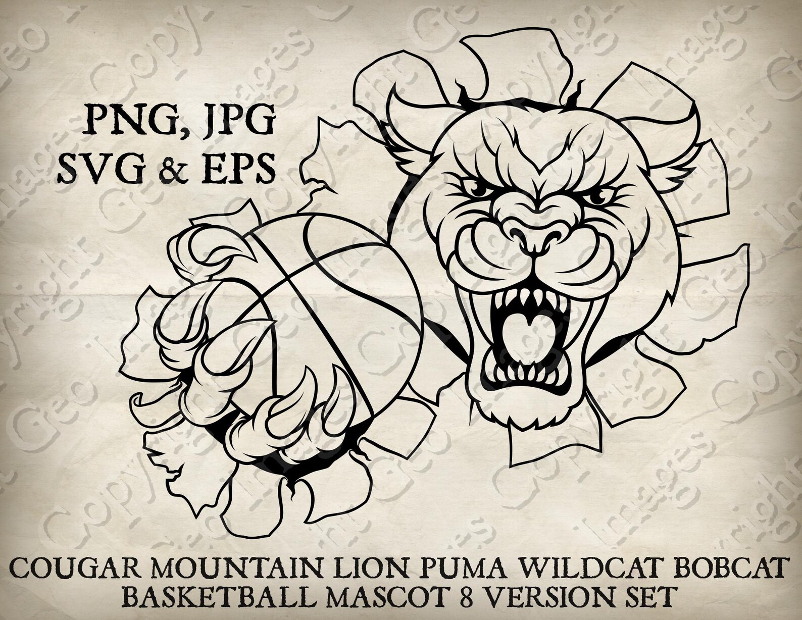 Cougar Wildcat Bobcat Puma Mountain Lion Holding Basketball Ball Team ...