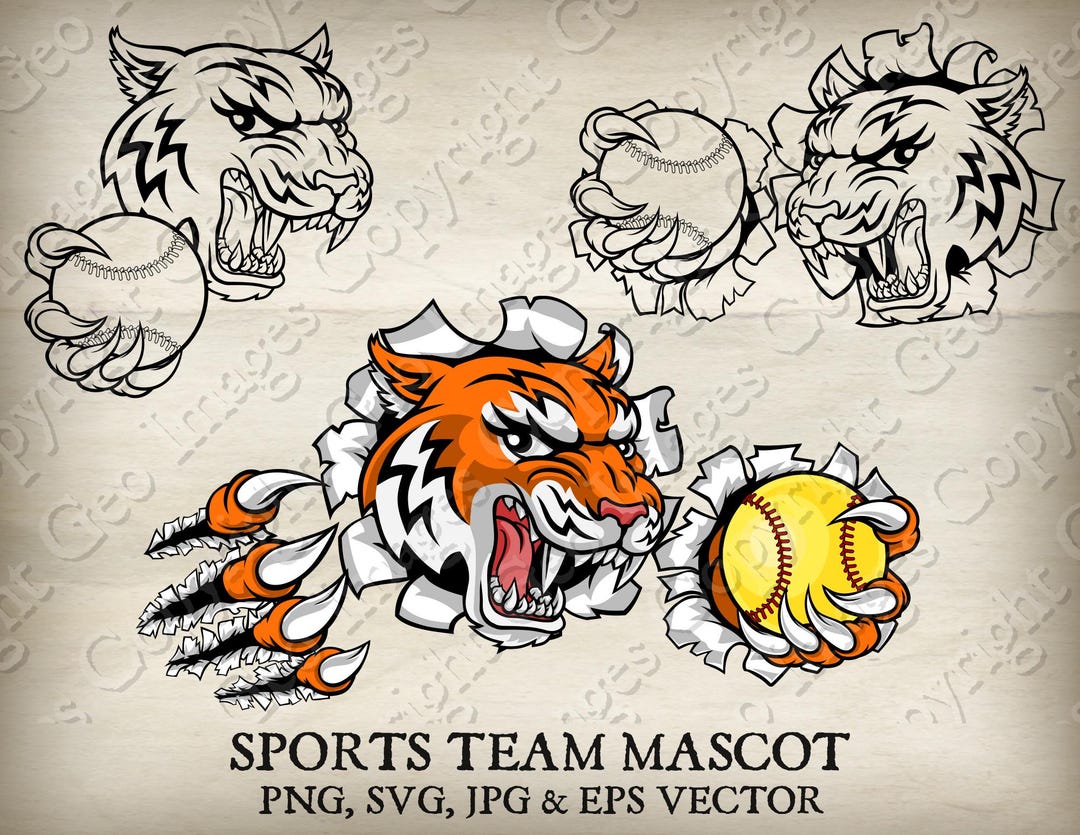 Tiger Softball Mascot Ball in Claws Angry Tigers Sports Team Logo Face ...