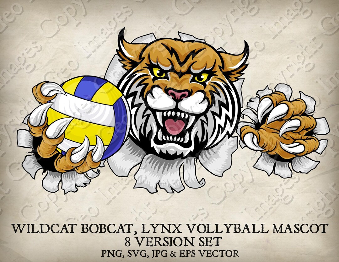 Wildcat Bobcat Cougar Lynx Lion Holding Volleyball Ball Mascot Wildcats ...