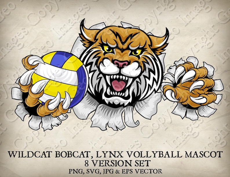 Wildcat Bobcat Cougar Lynx Lion Holding Volleyball Ball Mascot Wildcats ...