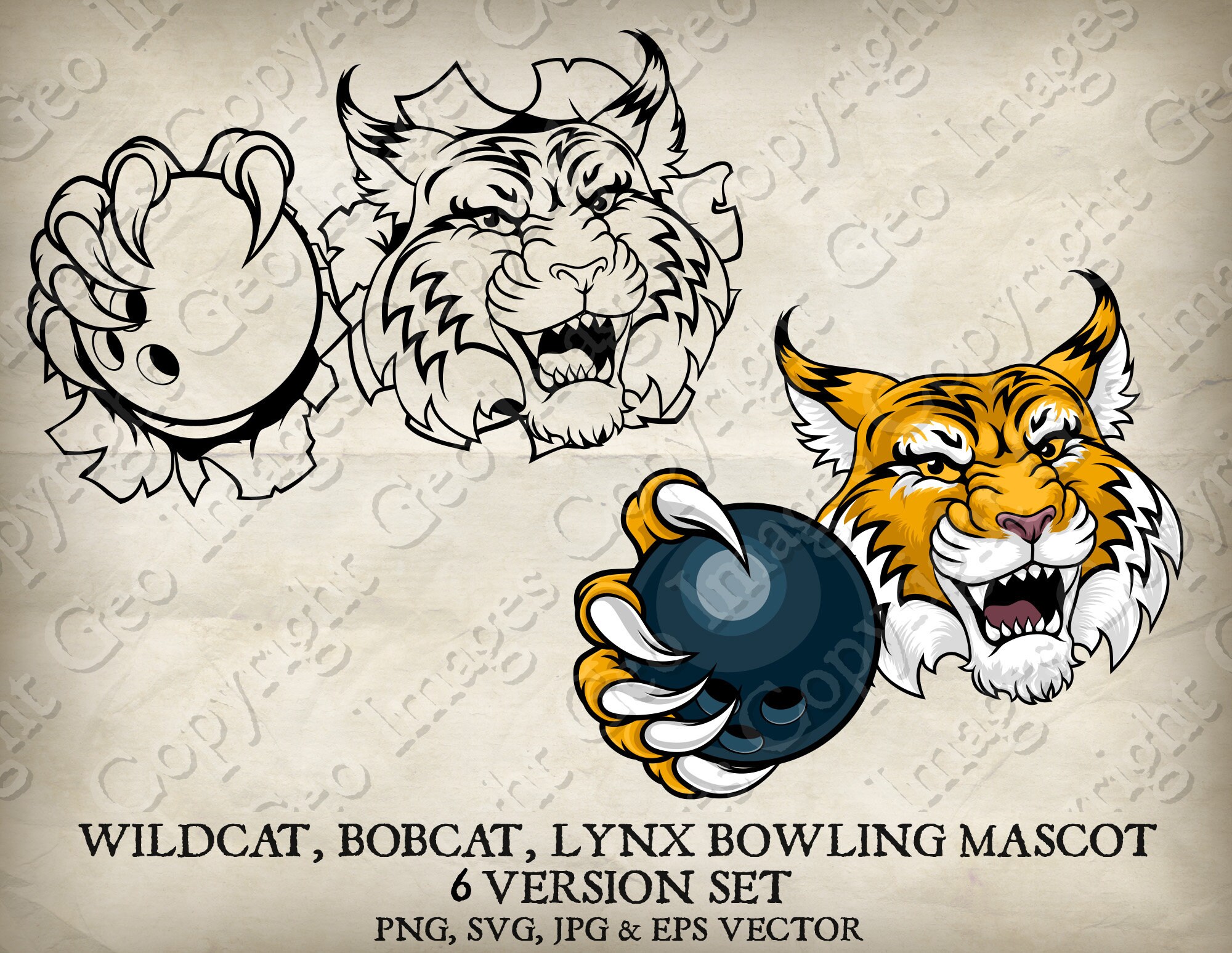Wildcat Bobcat Cougar Lynx Lion Holding Bowling Ball Mascot Wildcats ...