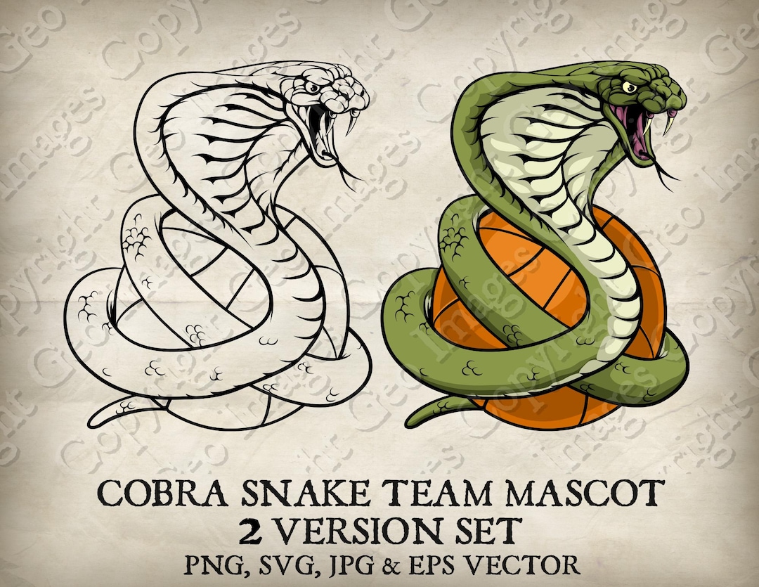 Cobra Basketball Snake Viper King Cobra Sports Team Cobras Viper Mascot ...