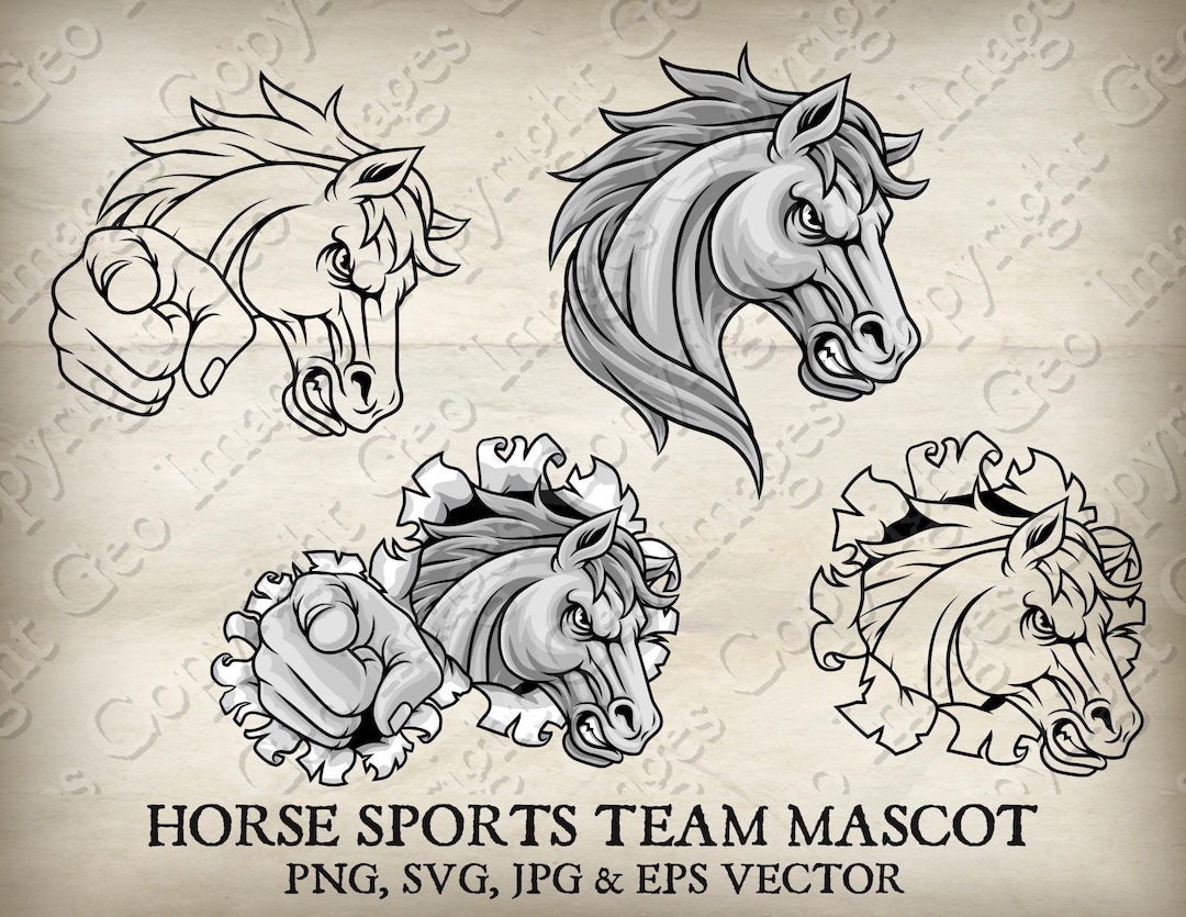 White Horse Mustang Bronco Stallion Sports Team Cartoon Mascot Mustangs ...