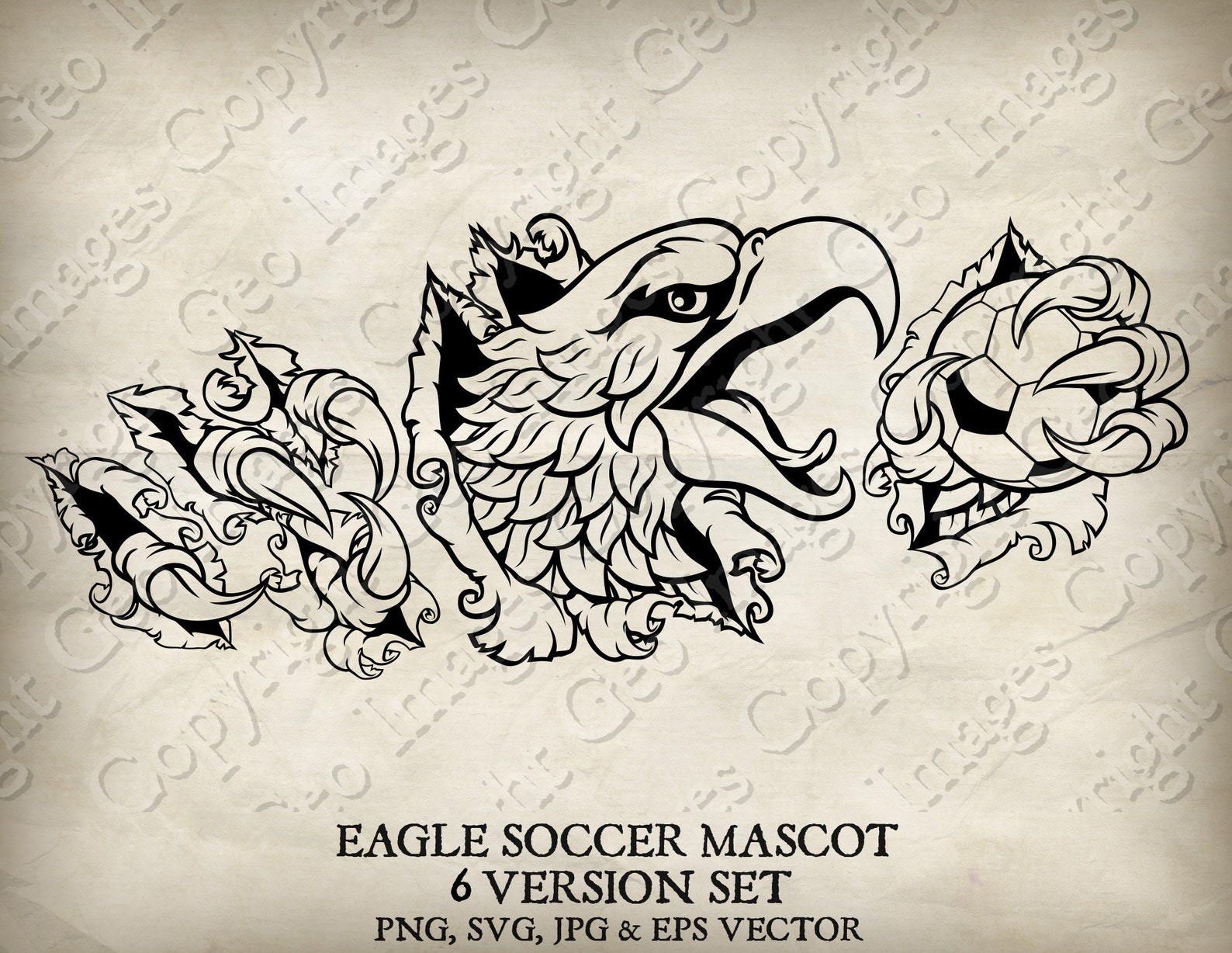 Eagle Holding Soccer Football Ball Claws Mascot Bald Eagles Logo ...