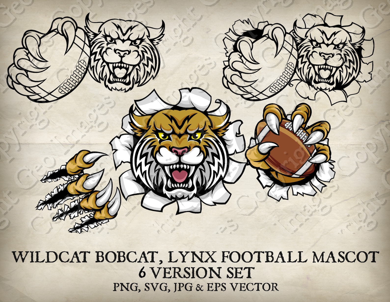 Wildcat Bobcat Cougar Lynx Lion Holding American Football Ball Mascot ...
