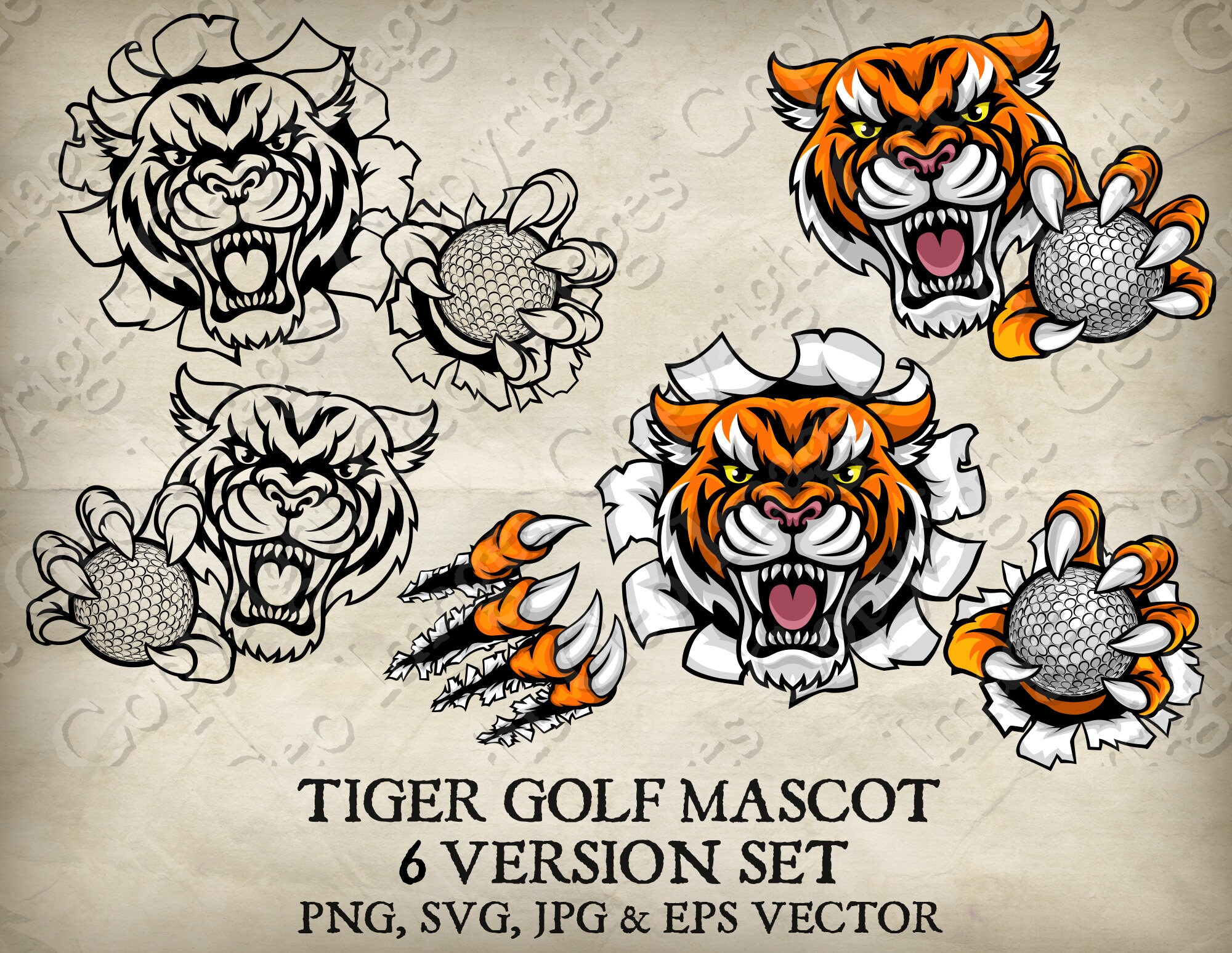 Tiger Golfer Holding Golf Ball in Claw Mascot Angry Tigers Face Cartoon ...