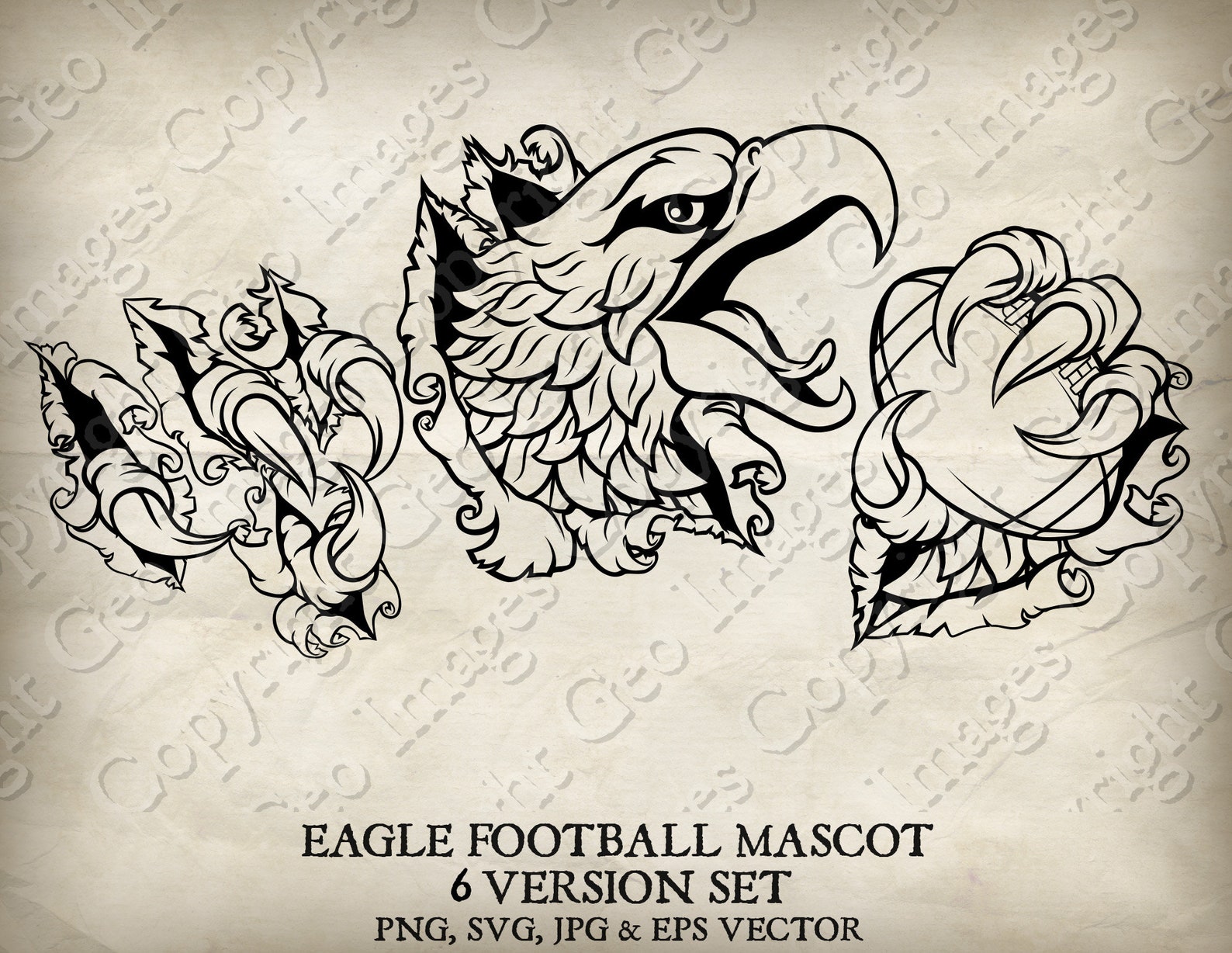 Eagle Holding American Football Ball Claws Mascot Bald Eagles Logo ...