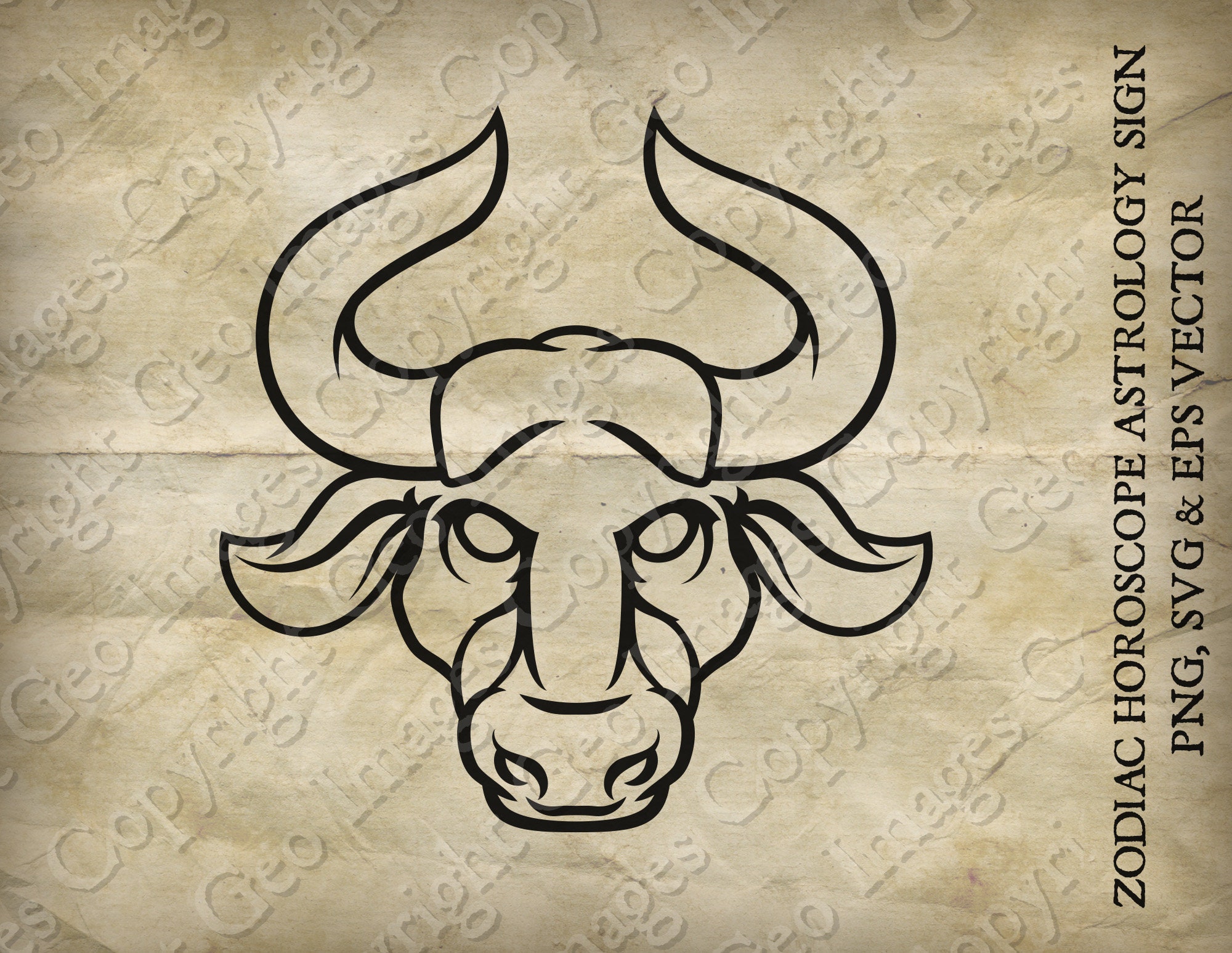 Bull in zodiac 60 photos - Astrologytoyou.com